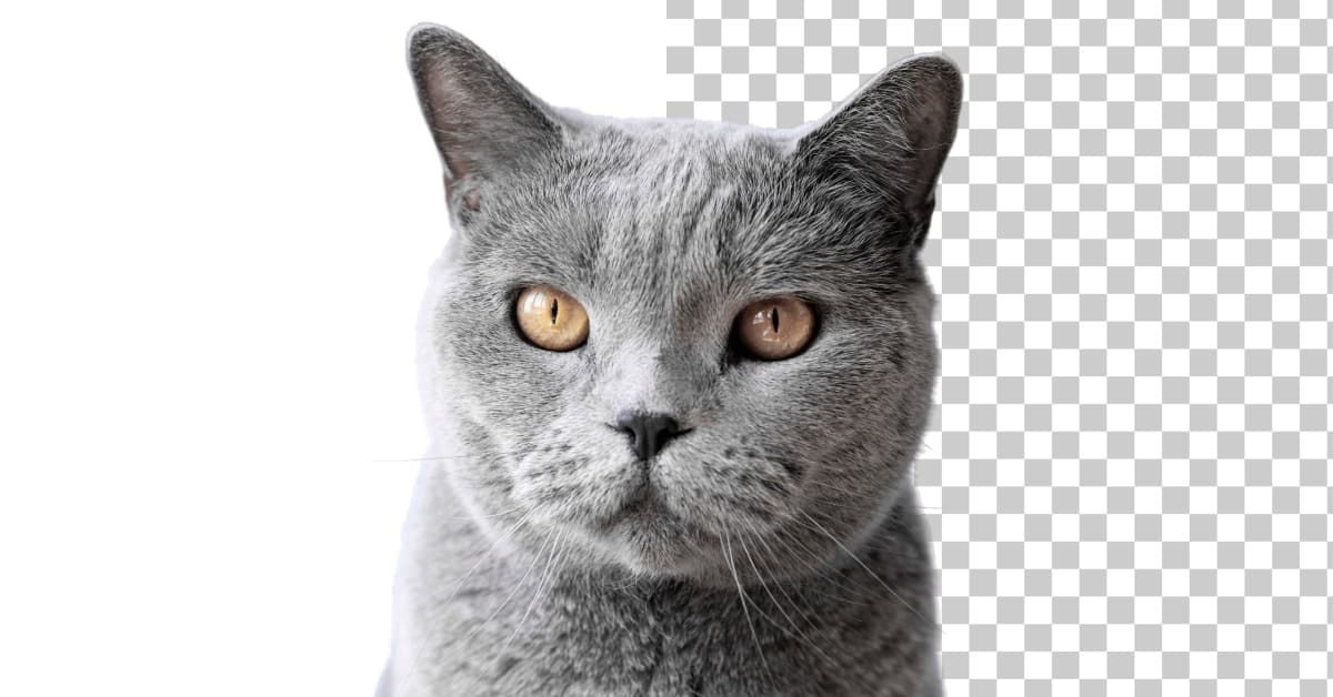 How to Create a PNG (with Transparent Backgrounds) Online